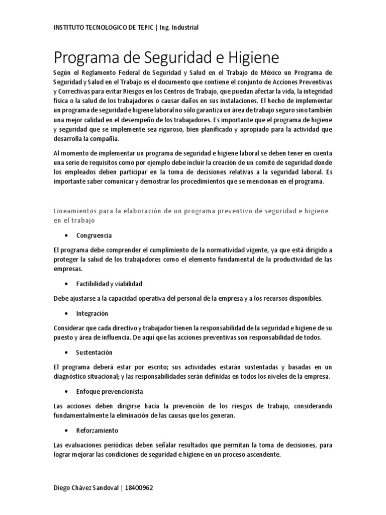Elementos Básicos de Un Programa de Seguridad | PDF | Seguridad y salud ocupacional | Business