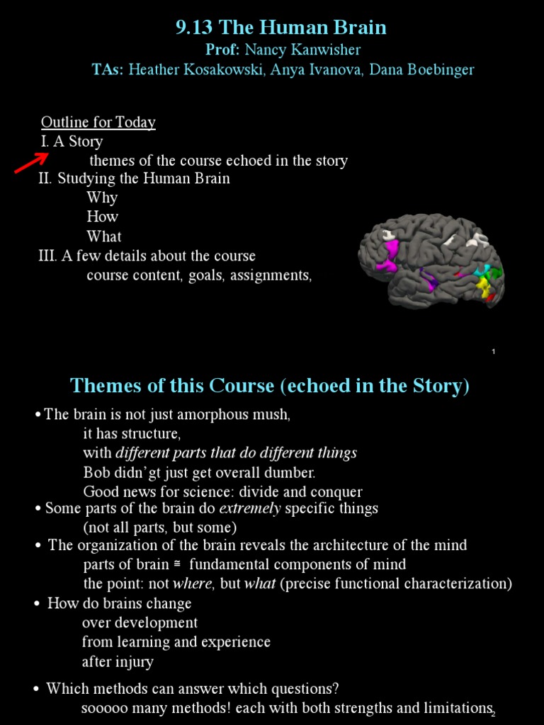 9.13 The Human Brain: Prof: Nancy Kanwisher Tas: Heather Kosakowski, Anya Ivanova, Dana ...