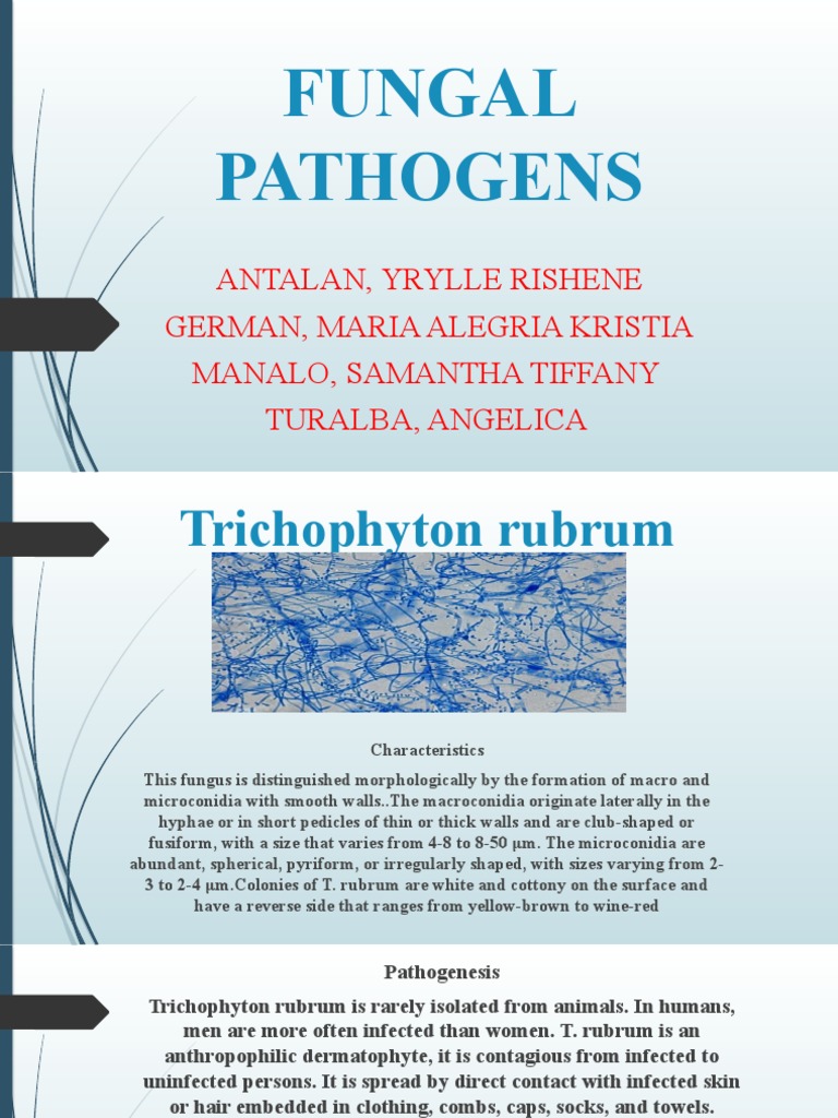 Fungal Pathogens Groupings | PDF | Mycology | Fungus
