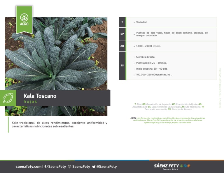 Kale Toscano: Guía de Cultivo | PDF