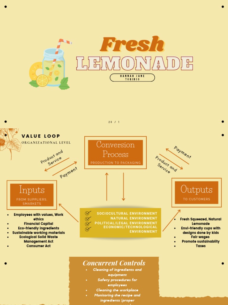 Lemonade | PDF | Business Process | Business