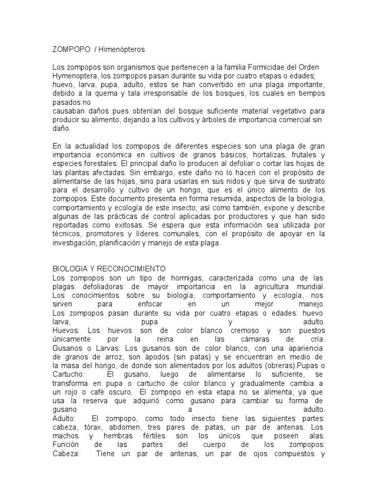 Biología y reconocimiento de los zompopos, una plaga agrícola de ...
