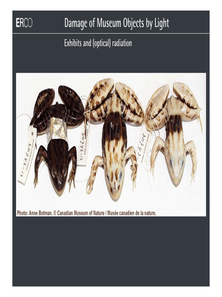 Damage of Museum Objects by Light | PDF | Light | Electromagnetic Radiation