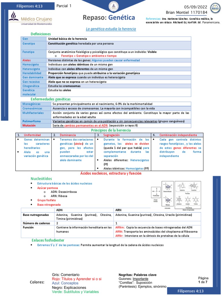Repaso de Genética: Conceptos Clave | PDF | Mitosis | Adn