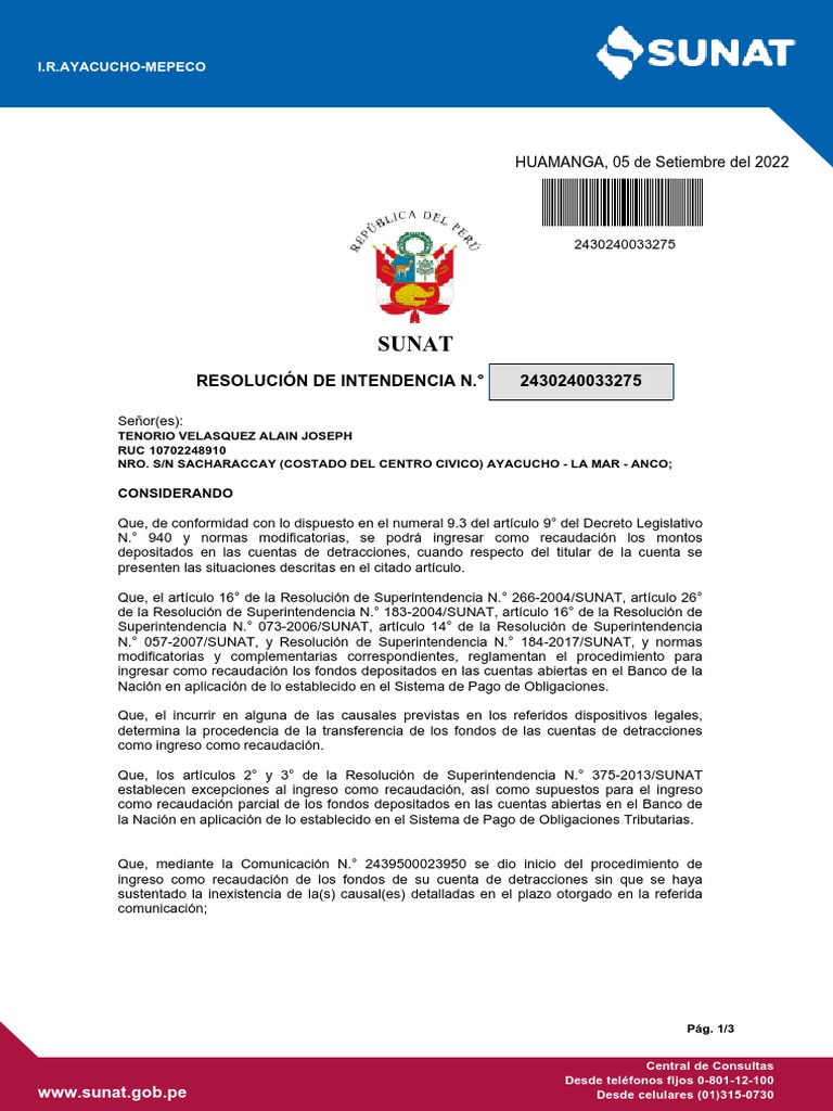 Resolucion de Intendencia | PDF | Gobierno