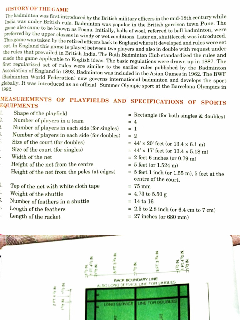 Badminton Game | PDF | Games Of Physical Skill | Athletic Sports