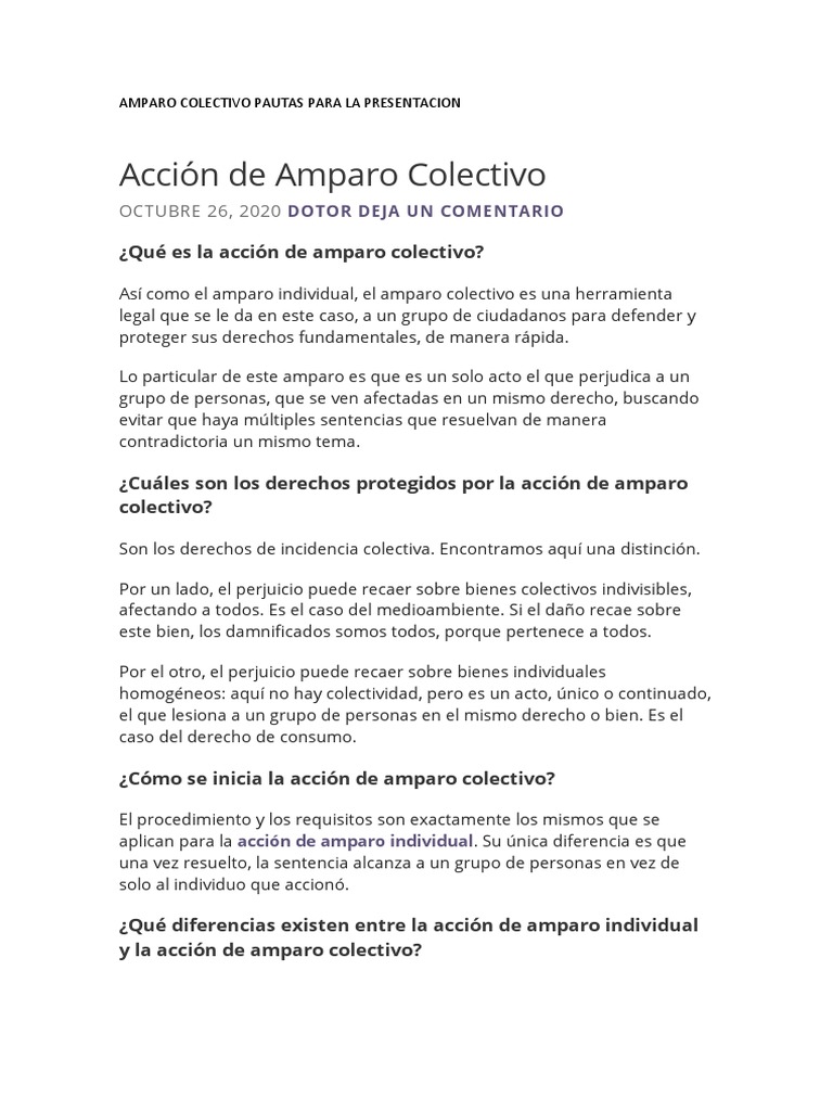 Amparo Colectivo Pautas para La Presentacion | PDF | Instituciones sociales | Etica Aplicada