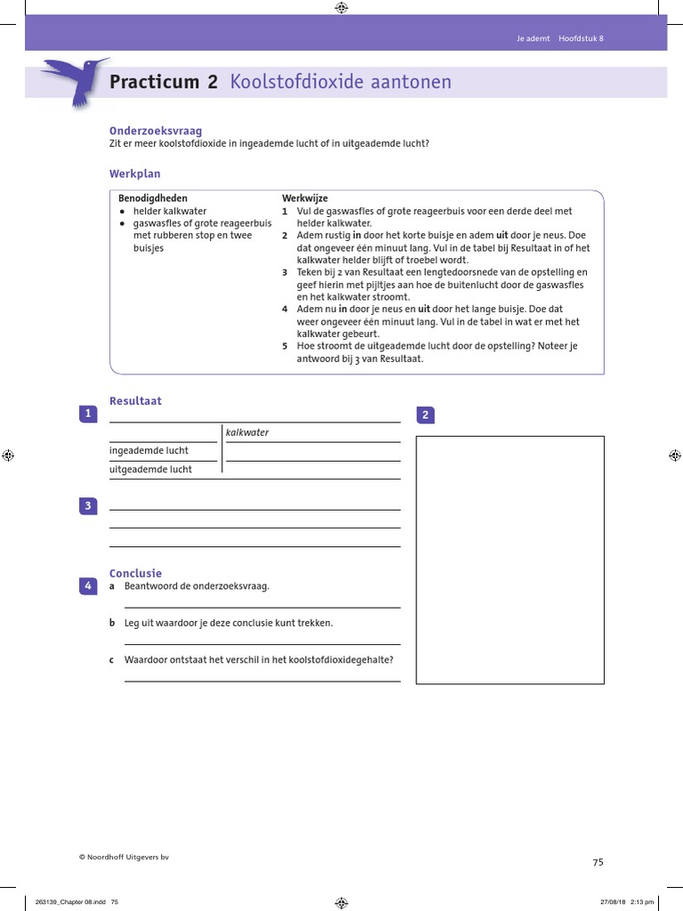8.2 Practicum 2 Koolstofdioxide Aantonen | PDF