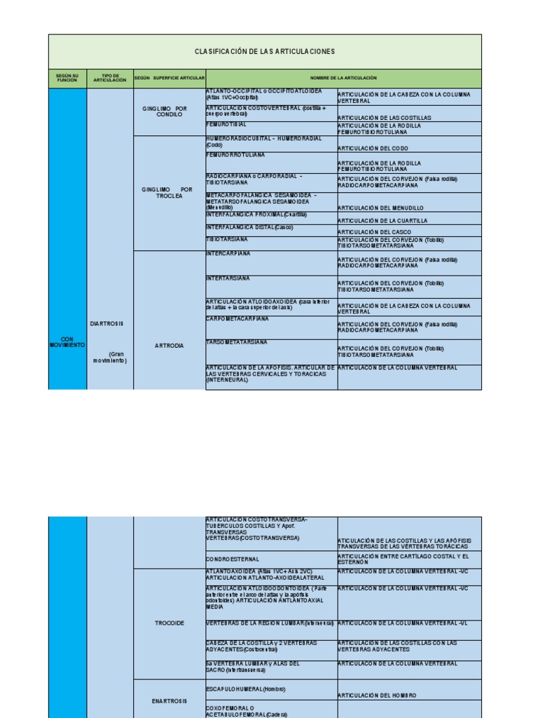 Articulaciones Cuadro Clasificación General | PDF | Articulación | Vértebra