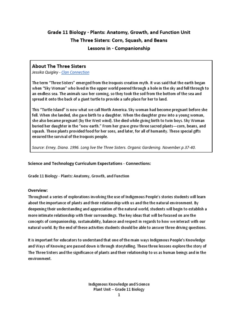 Grade 11 Biology Plants Unit 3 | PDF | Leaf | Biodiversity