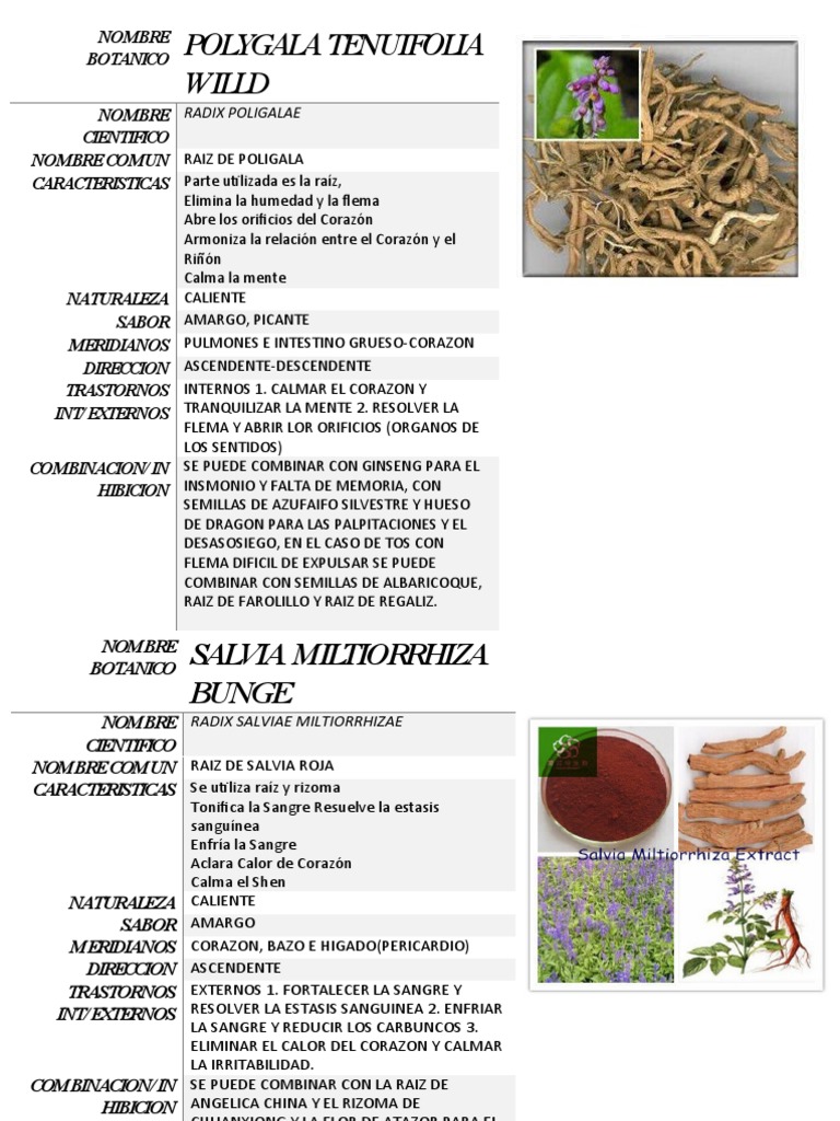 Propiedades y Usos de Raíces Medicinales | PDF | Corazón | Sangre