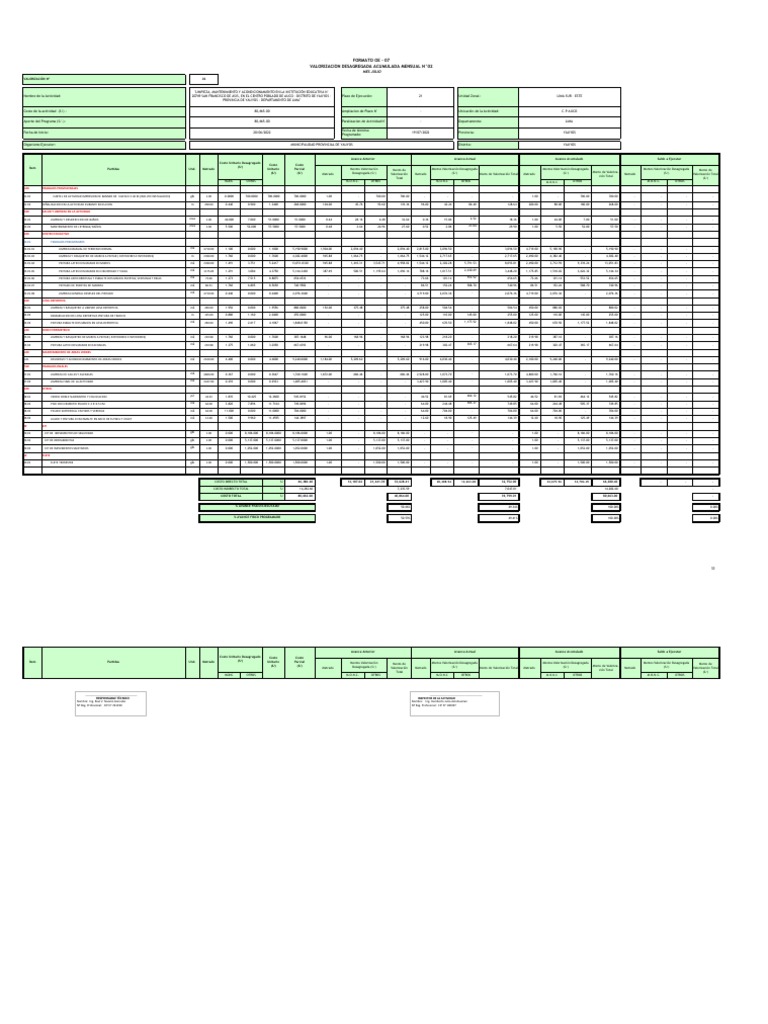 Formatos Oe 07 | PDF
