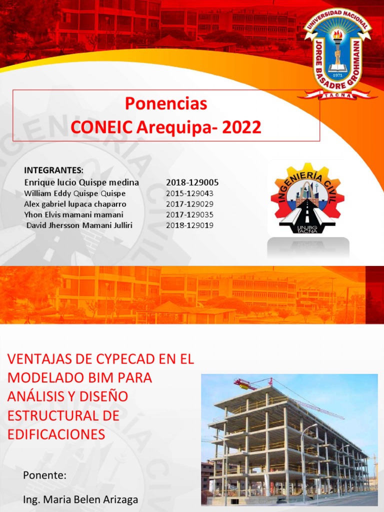 Informe Coneic | PDF