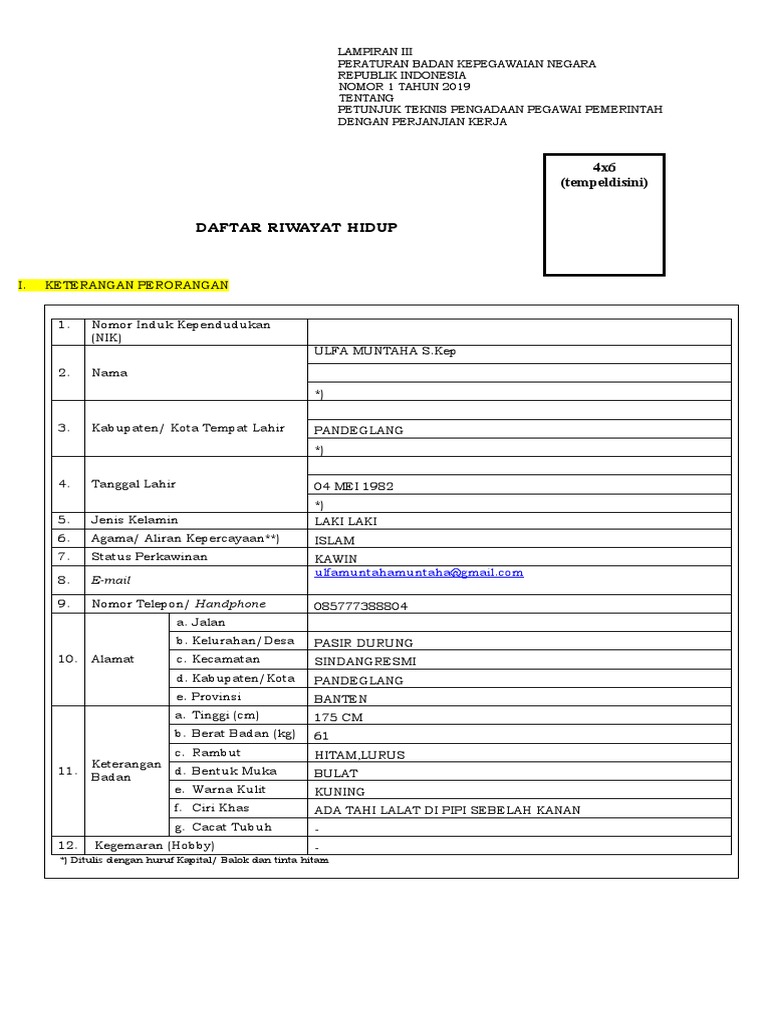 Daftar Riwayat Hidup PPPK | PDF