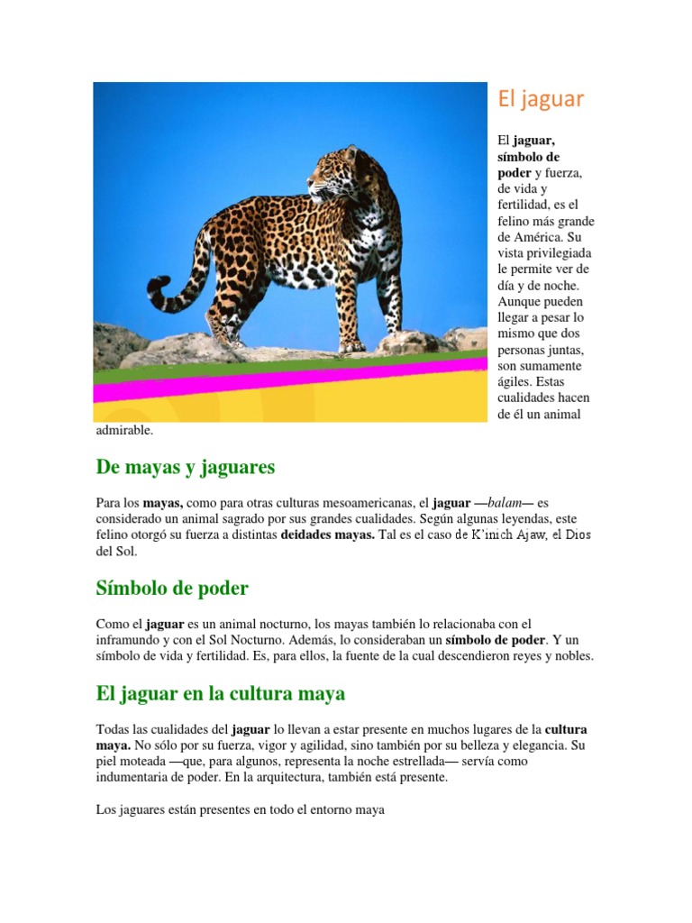El Jaguar | PDF | Civilización maya | Jaguar