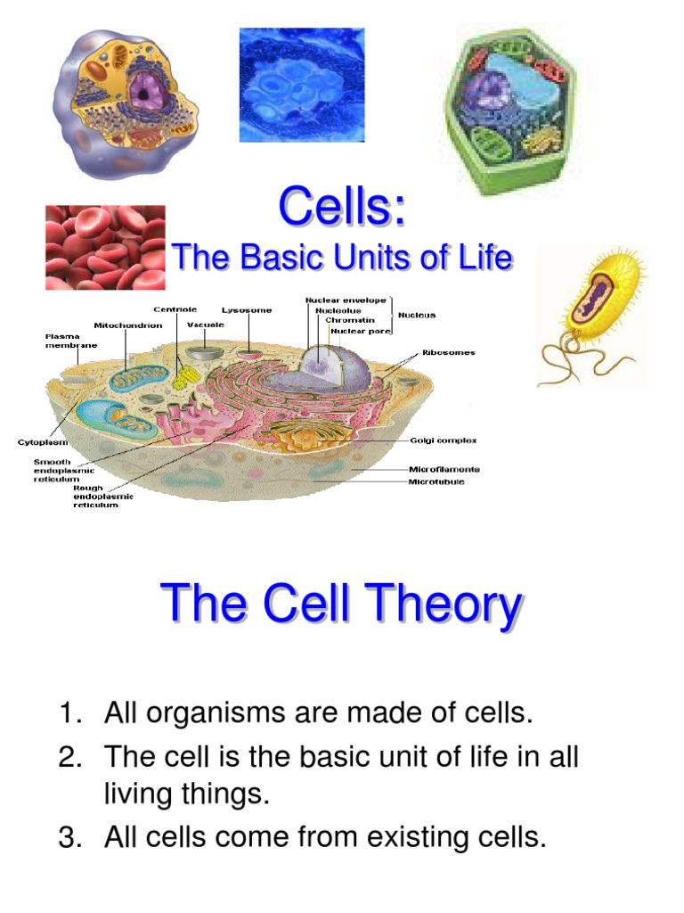General Science Reviewer For LET 2022 | PDF | Photosynthesis | Chloroplast