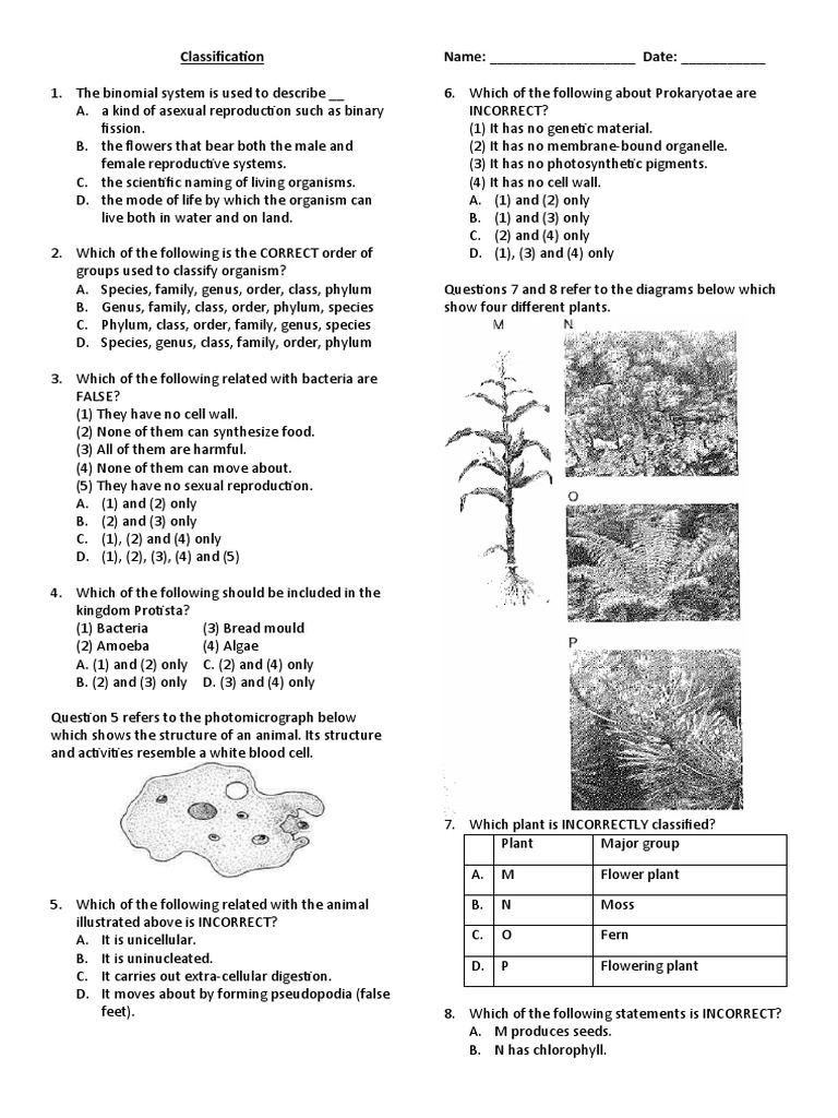 Bio Olevel MCQ 1 Classification | PDF | Plants | Organisms