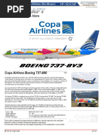 A321neo Latam Papercraft | PDF | Manufactured Goods | Equipment