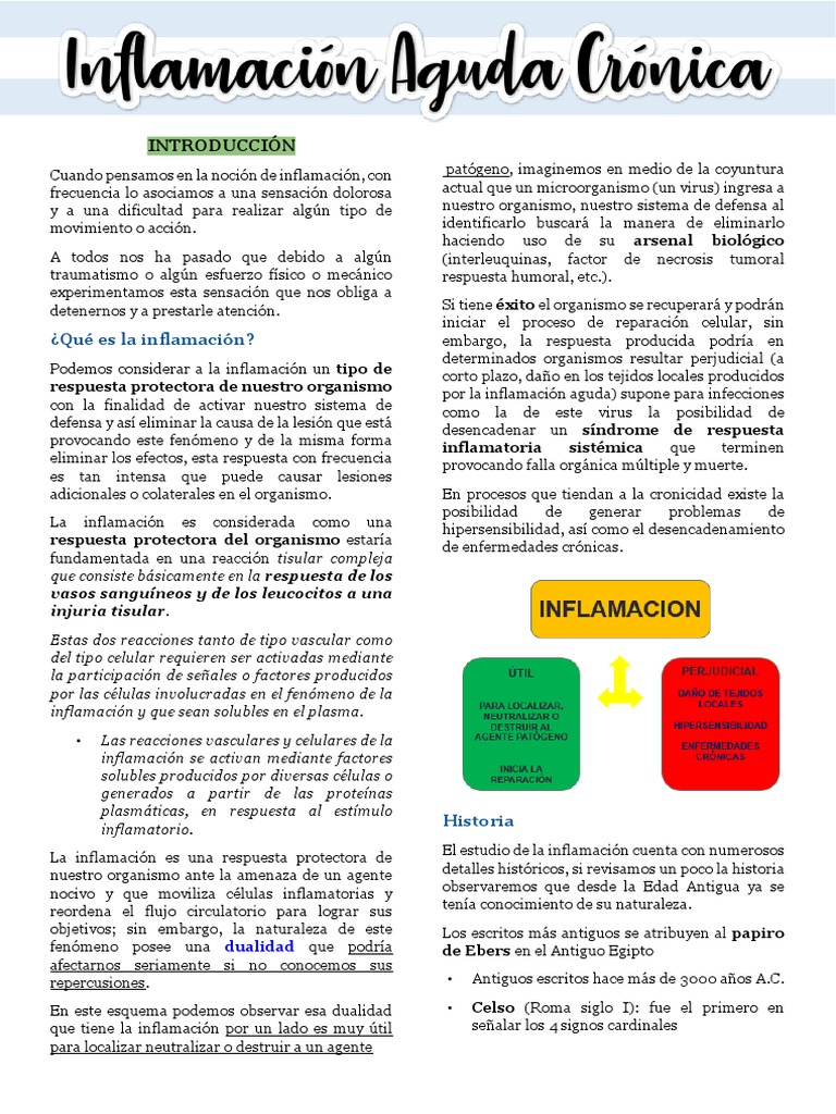Proceso de Inflamación: Aguda y Crónica | PDF | Inflamación | Sistema ...