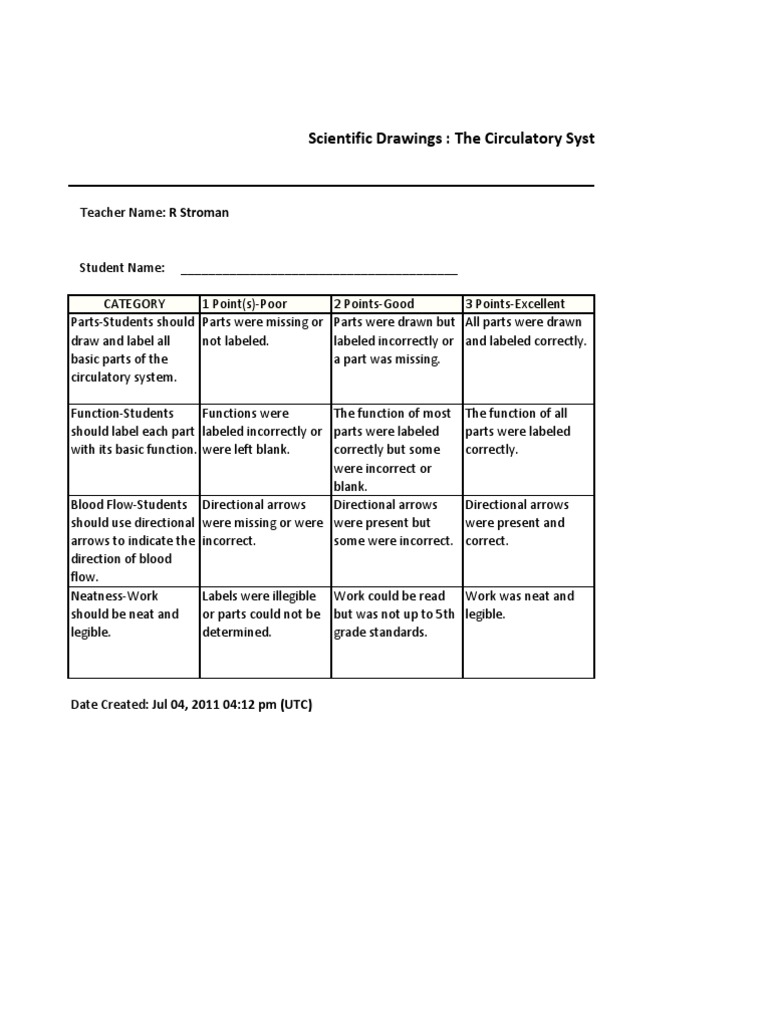 Circulatory Rubric | PDF
