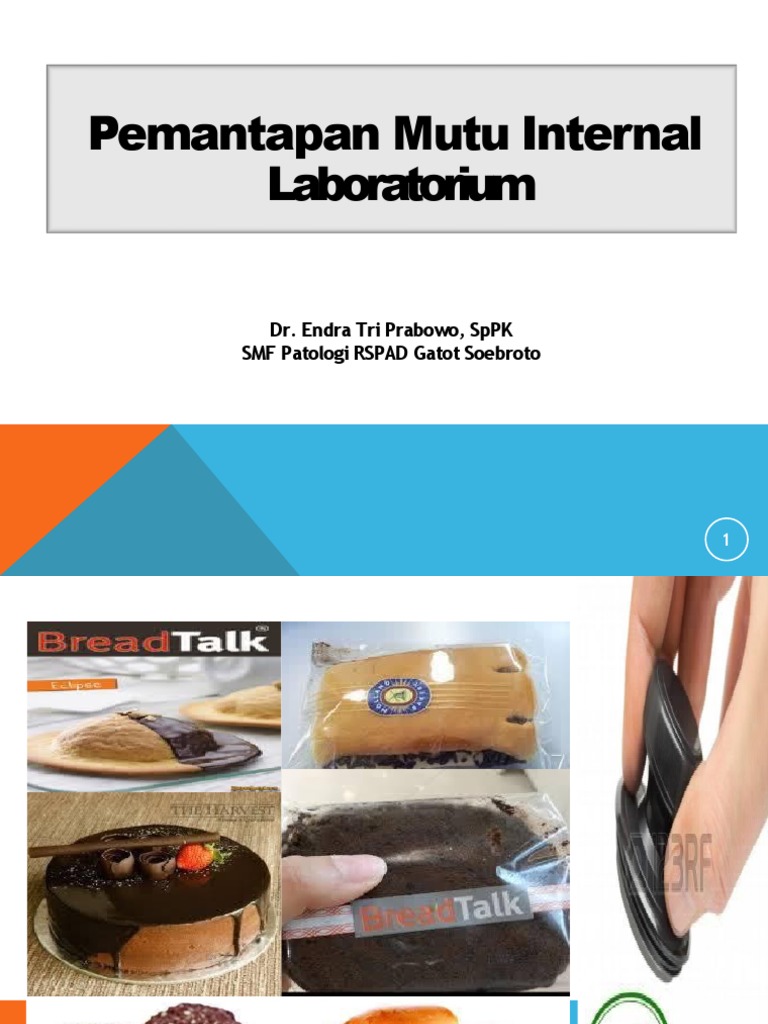 Labkesda Pemantapan Mutu Internal | PDF