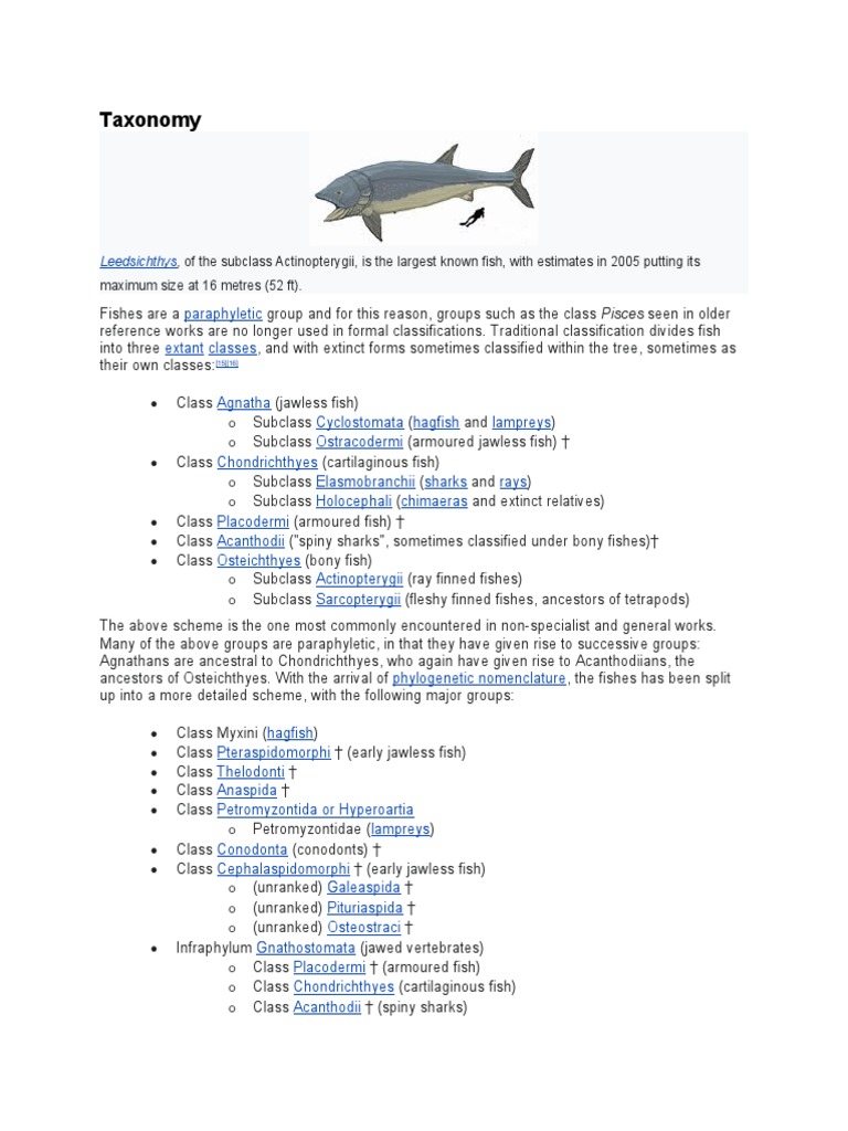 Fish Taxonomy | PDF | Fish | Paleozoic First Appearances