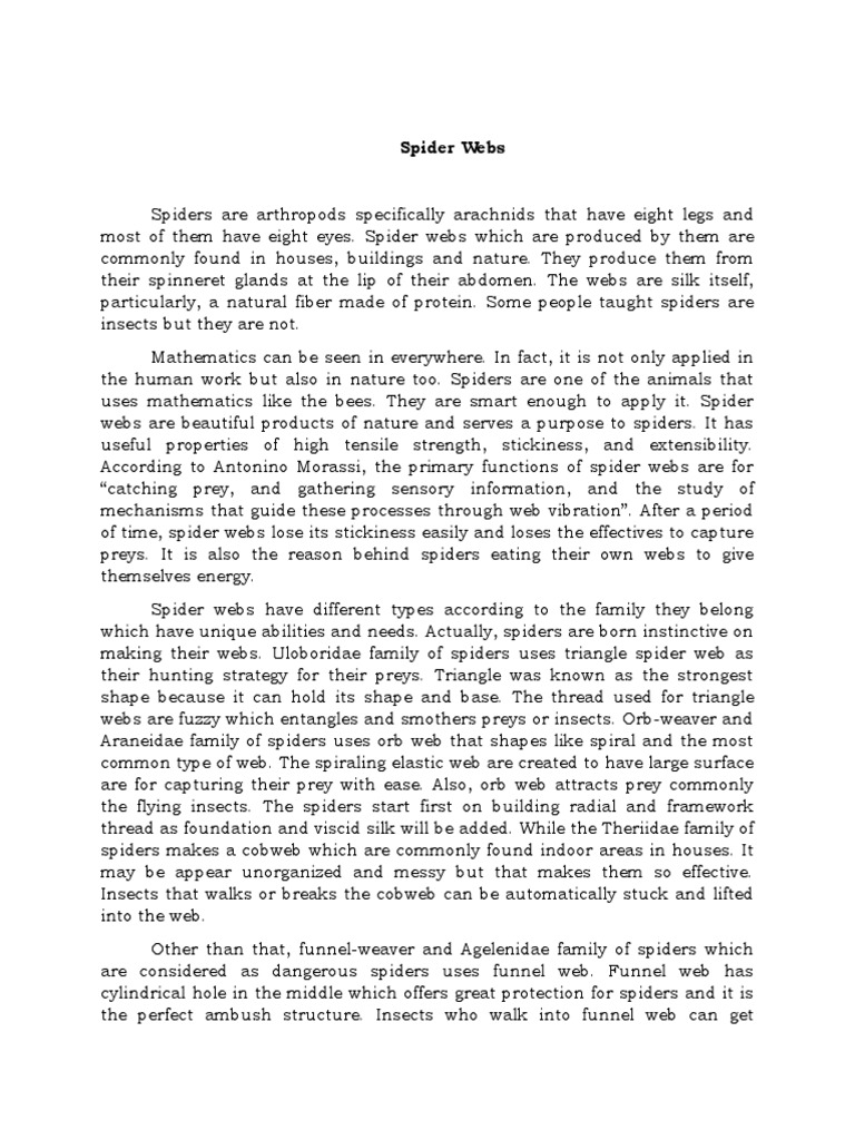 Spider | PDF | Spider Web | Spider