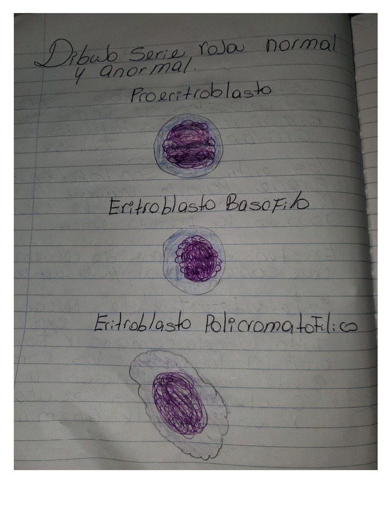 Dibujo Serie Normal y Anormal | PDF