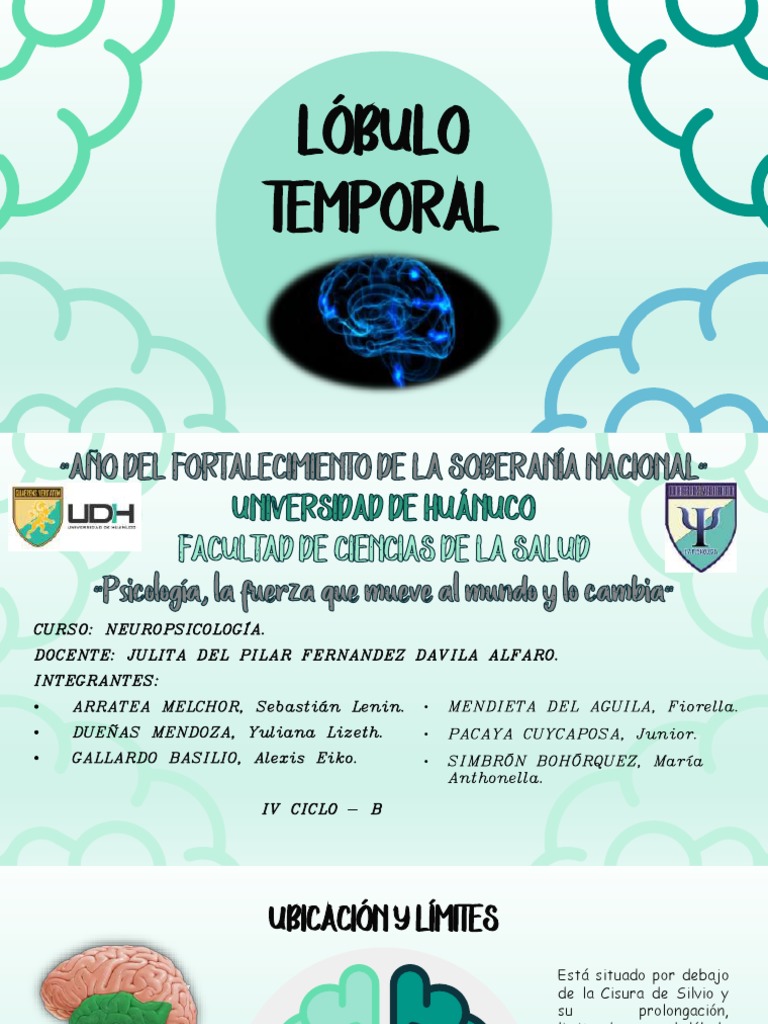 Funciones del Lóbulo Temporal | PDF | Lóbulo temporal | Cerebro