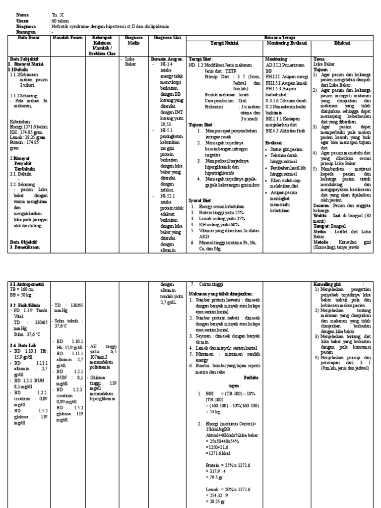 Format NCP BARU Luka Bakar | PDF