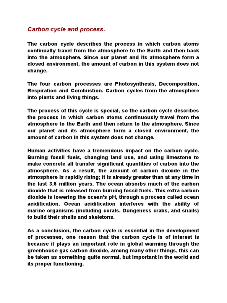 Carbon Cycle | PDF