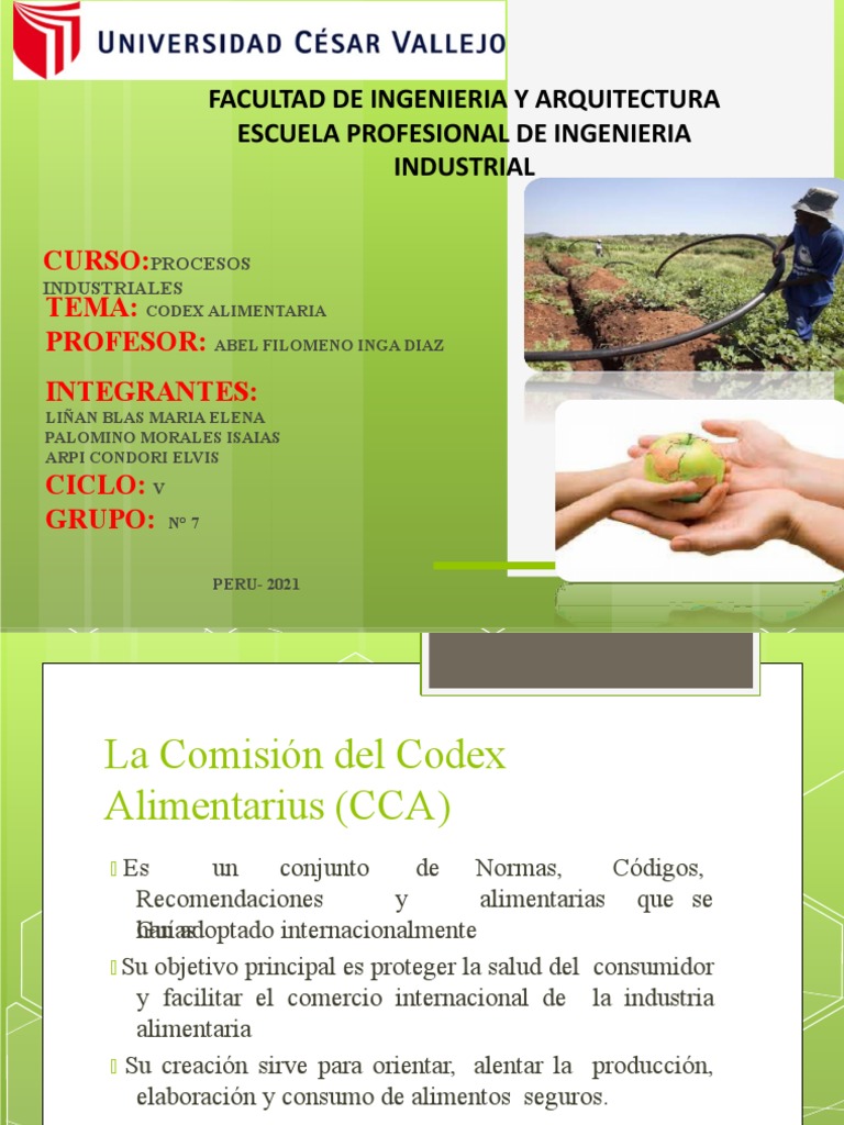 CODEX ALIMENTARIO - ODS-12 Grupo 7 | PDF | Seguridad alimenticia ...