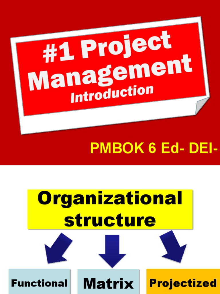 PPT MANPRO 2021 | PDF | Project Management | Internal Control