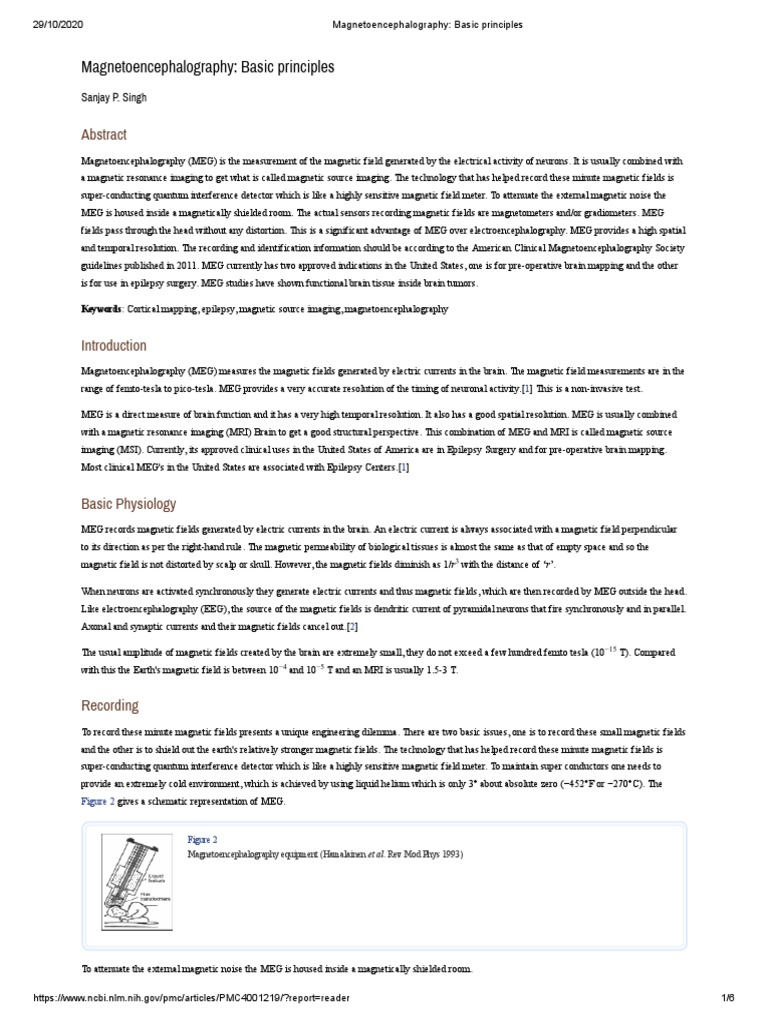 Magnetoencephalography - Basic Principles | PDF | Magnetoencephalography | Electroencephalography