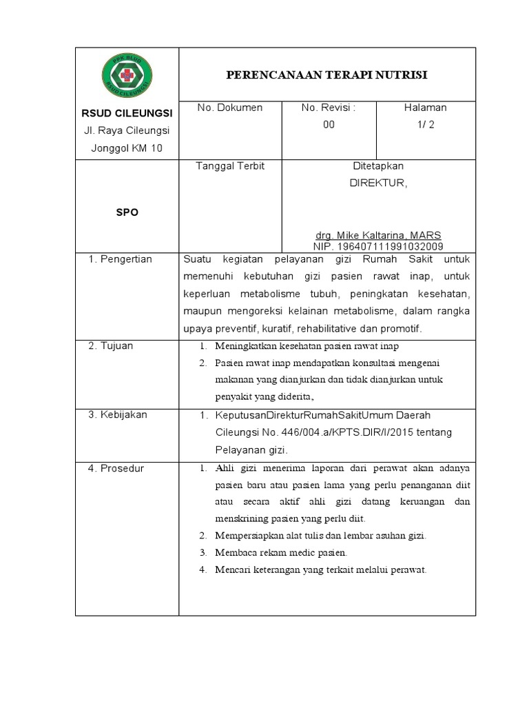 SPO Perencanaan Terapi Nutrisi | PDF