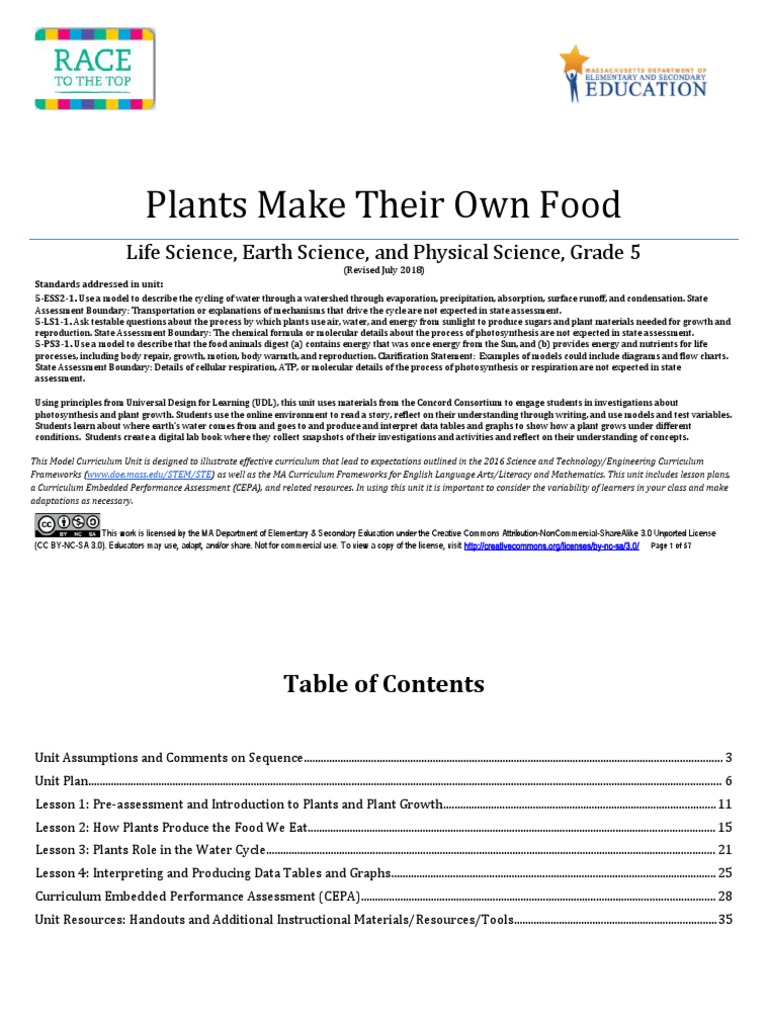 Steg5 Plants Food | Download Free PDF | Plants | Creative Commons License