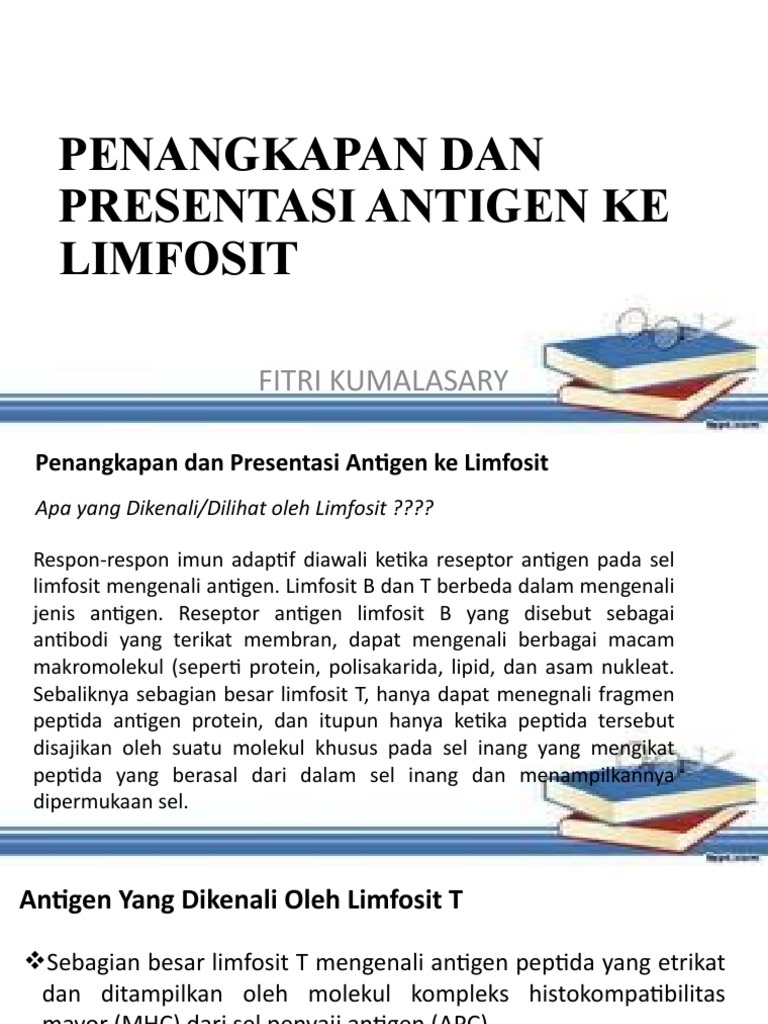 Penangkapan Dan Presentasi Antigen Ke Limfosit | PDF