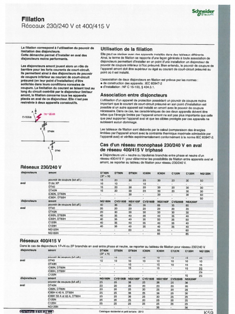 FILIATION SCHNEIDER 2013 | PDF