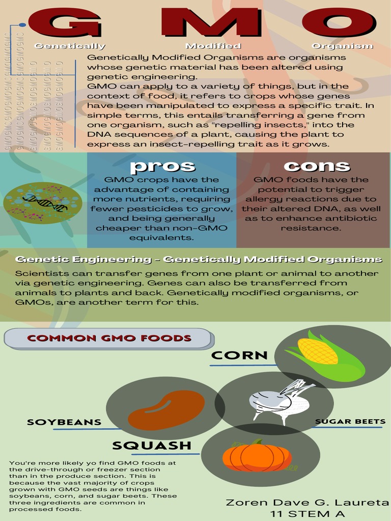 (Infographic on GMO) | PDF