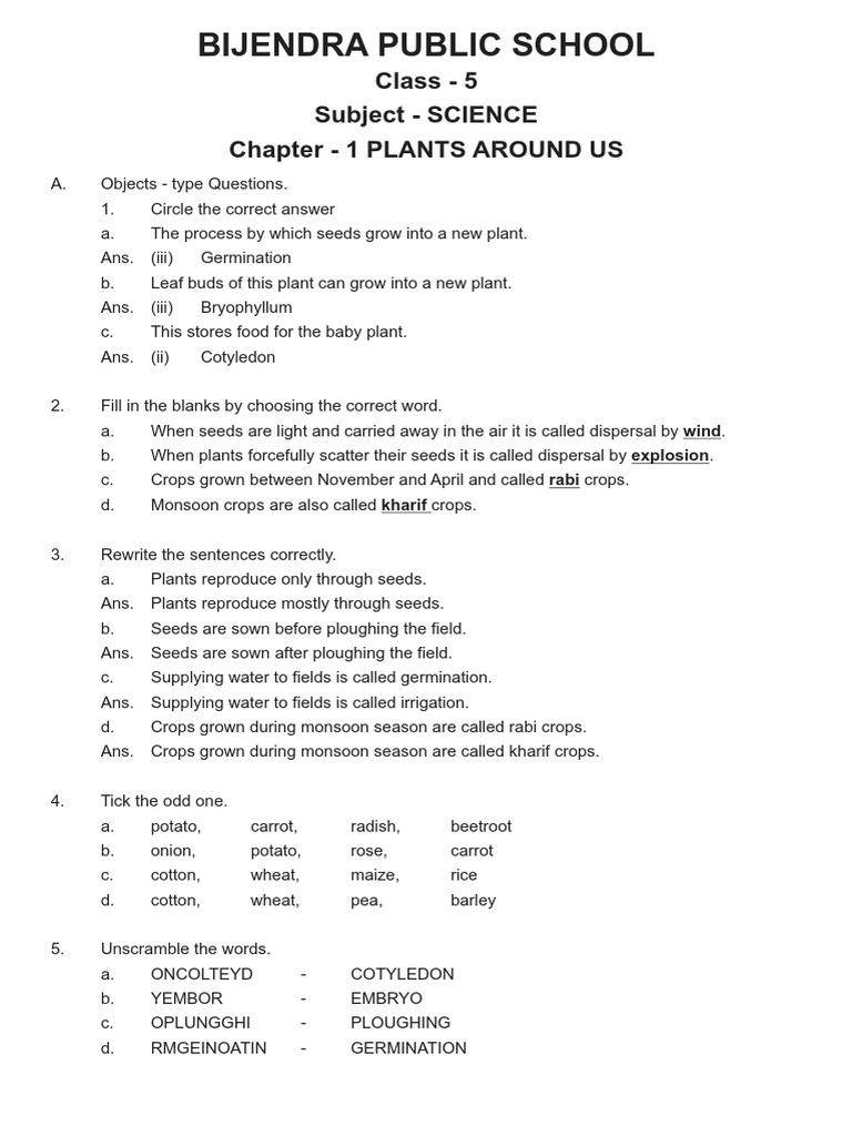 Class 5 Subject Science Chapter 1 Plants Around Us | PDF | Seed ...