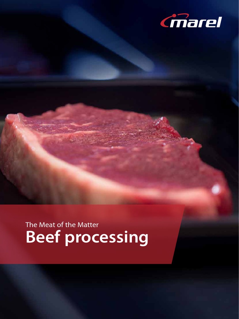 Me20 BR 100 Beef-Processing en LR | PDF | Water Treatment | Meat