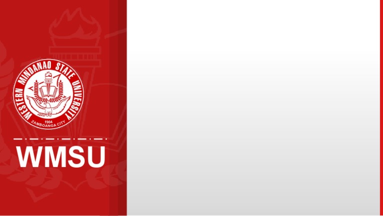 Wmsu Template | PDF