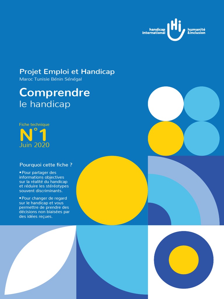 Fiche Technique N 1 Comprendre Le Handicap | PDF | Invalidité ...