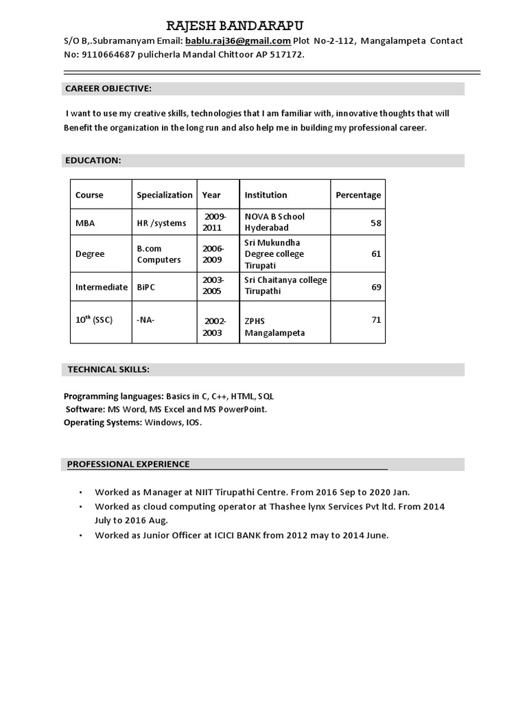 Resume Raja Pdf Computing