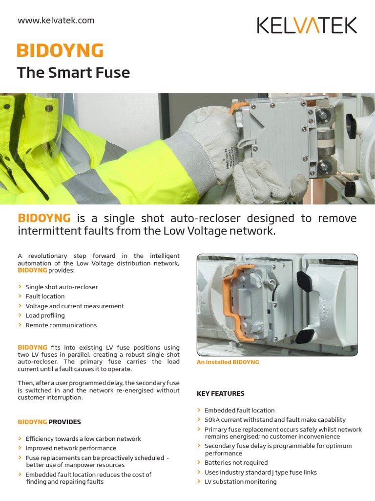 Bidoyng UK Spec | PDF | Computer Network | Fuse (Electrical)