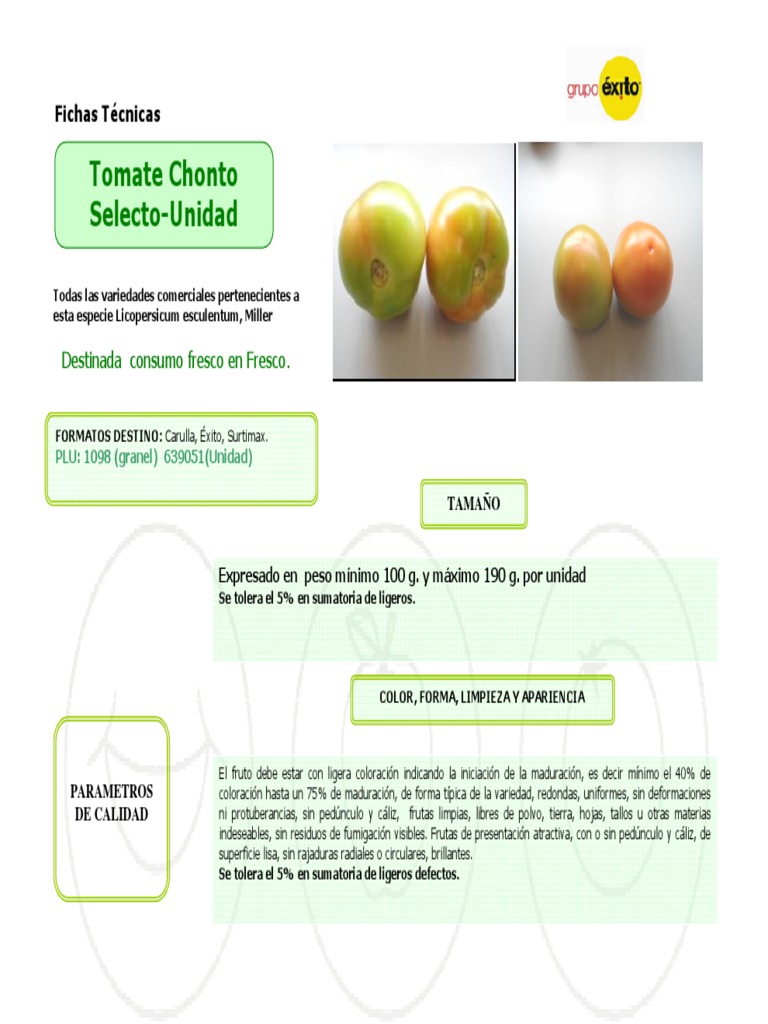 Tomate Chonto Sto-Unidad | PDF | Fruta | Tomate