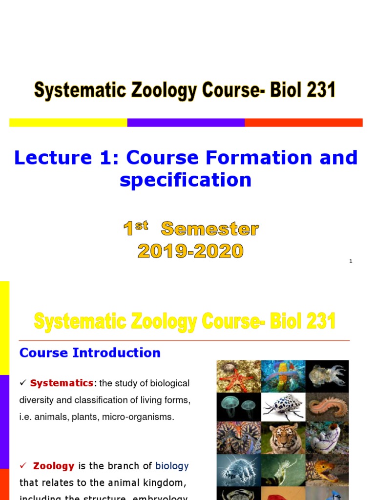 Systematic Zoology Course Overview | PDF | Taxonomy (Biology) | Zoology