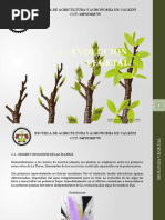 Endogamia y Heterosis | PDF | Agronomía | Endogamia