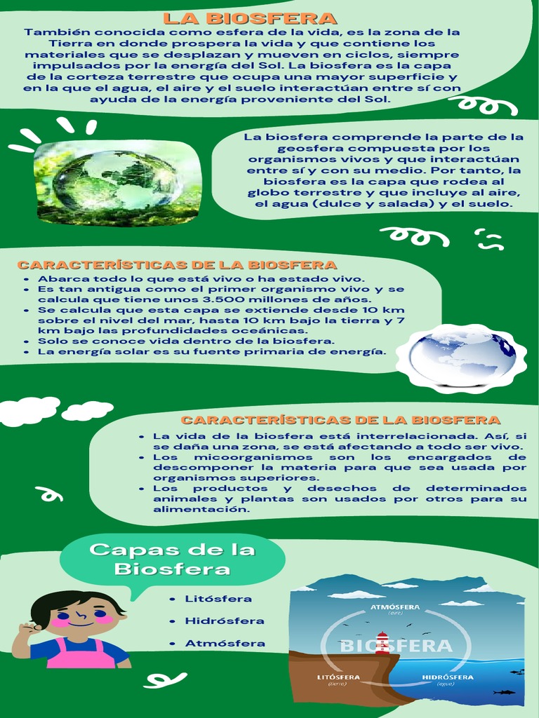 Características y funciones de la biosfera | PDF | Tierra | Fenómenos ...