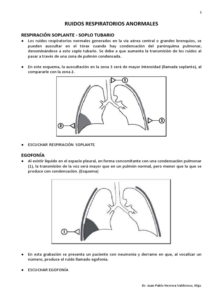 05 Ruidos Patológicos Respiratorios Apuntes | PDF | Respiración ...